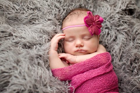 Baby Aussie Stretches Out and Gets Comfy | Miette Blog