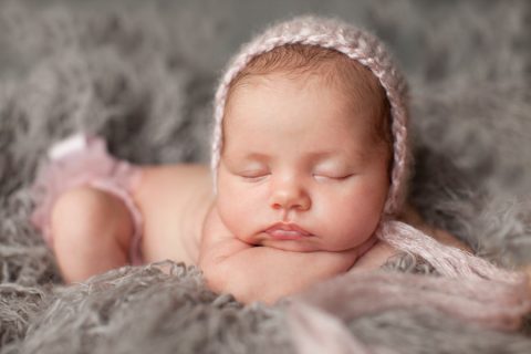 Baby Aussie Stretches Out and Gets Comfy | Miette Blog