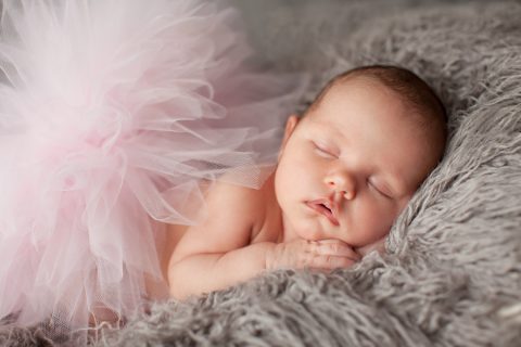 Baby Aussie Stretches Out and Gets Comfy | Miette Blog